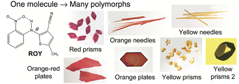 Polymorphism - ELDICO Scientific AG